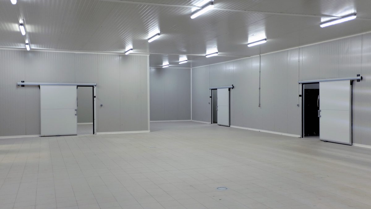 Senegal poultry production chain - NTD France