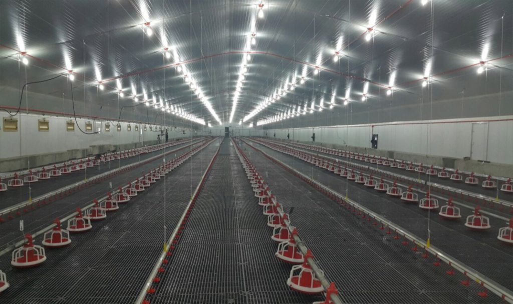 Bâtiments volailles de chair - NTD France