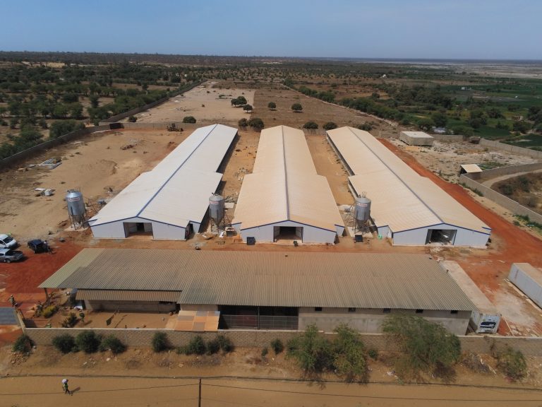 Accueil - NTD France